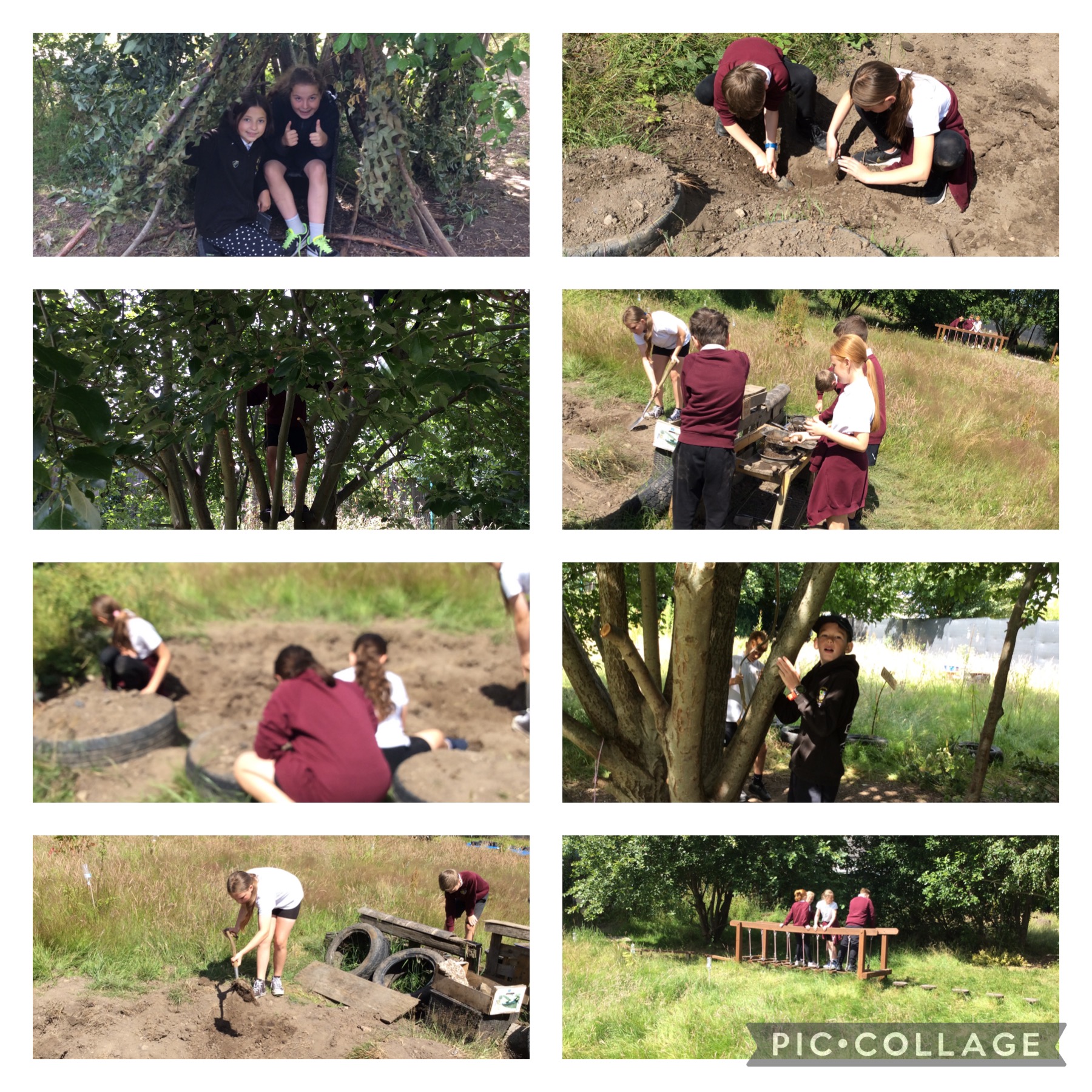 Years 5 & 6: Friday's Forest School with Eryri Class - Park CP School